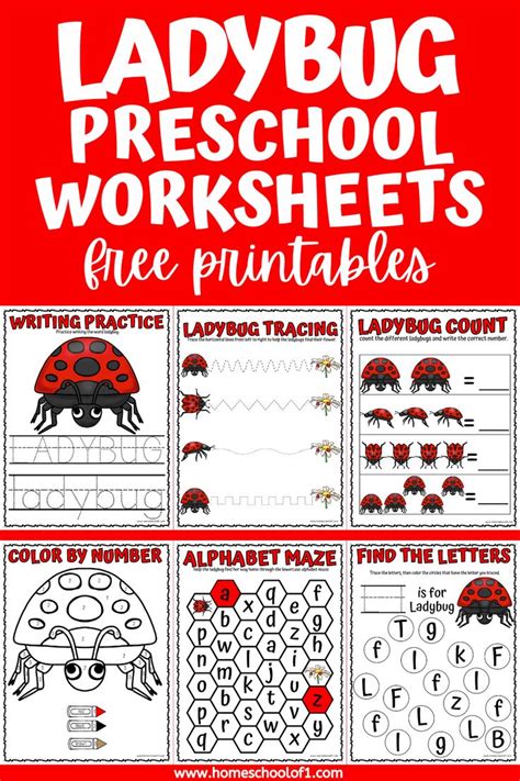 Ladybug Worksheets For Preschoolers