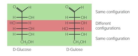 Sorbitol Ring Structure