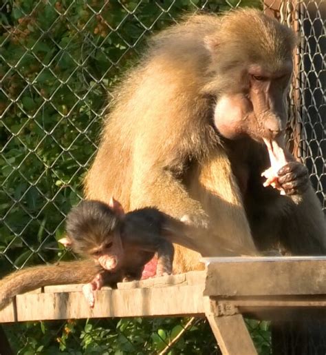 ТАНЯ НАСТЯ и ТАЙГАН Exclusive Content On Boosty