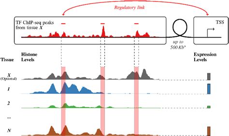 Frugal Finance How Can ChIP Seq Data Help Biologists In Their Research