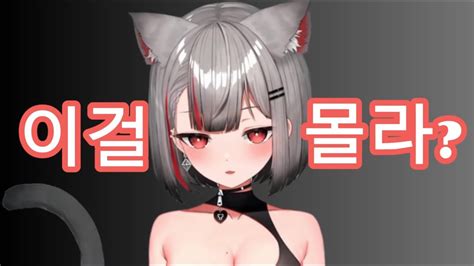 버뮤다 팬츠 Youtube