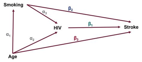 Methods Matter Misinterpreting Covariate Coefficients From Multivariable Models Medlior