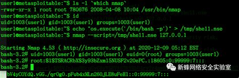 linux系统安全攻防技术之一：针对linux系统的攻击 linux系统常见攻防技术应用相关的论文 csdn博客