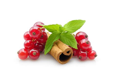 계피 스틱과 민트 잎을 곁들인 신선한 붉은 건포도는 흰색으로 분리되어 있습니다 0명에 대한 스톡 사진 및 기타 이미지 0명 가지 식물 부위 개체 그룹 Istock