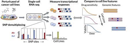 Rna Seq Blog Supplying Cheap Gbu