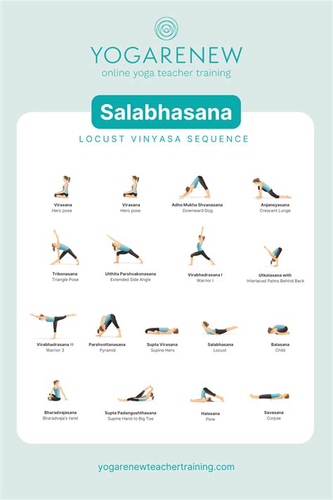 Yoga Class Sequence Building To Salabhasana Yogarenew