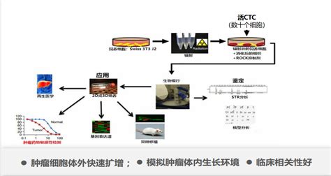 CTC药敏 上海度微