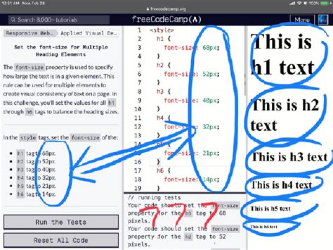 test module window error issues freecodecamp support the