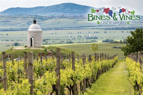 Pei Bines And Vines Czech Beer And Wine New Wines From An Old World