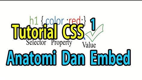 Belajar Css Dasar Anatomi Dan Embed Youtube