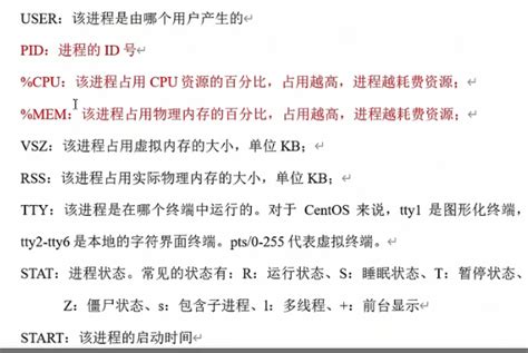 linux进程管理类 查看进程 终止进程 查看进程树 实时监控进程 网络状态和端口监控 linux监控进程命令 csdn博客