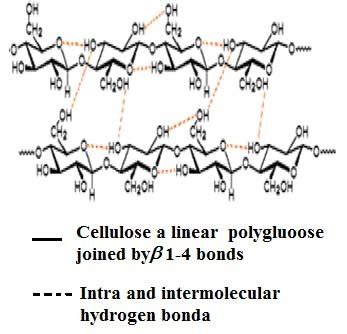 Chemical Structure Of Paper Cellulose Hydrogen Bond 10 Download