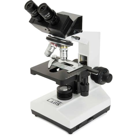 Understanding Stage Microscope Function A Complete Guide