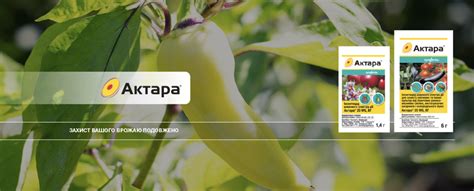 Актара инсектицид от вредителей сада и огорода!