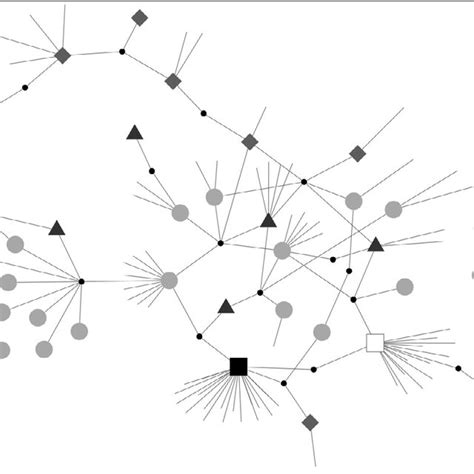 Network Visualization Libraries Are Presented By Symbol Coded Nodes