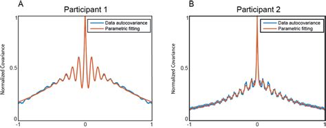 Estimation Of The Model Covariance Functions Parametric Fit Of The Meg
