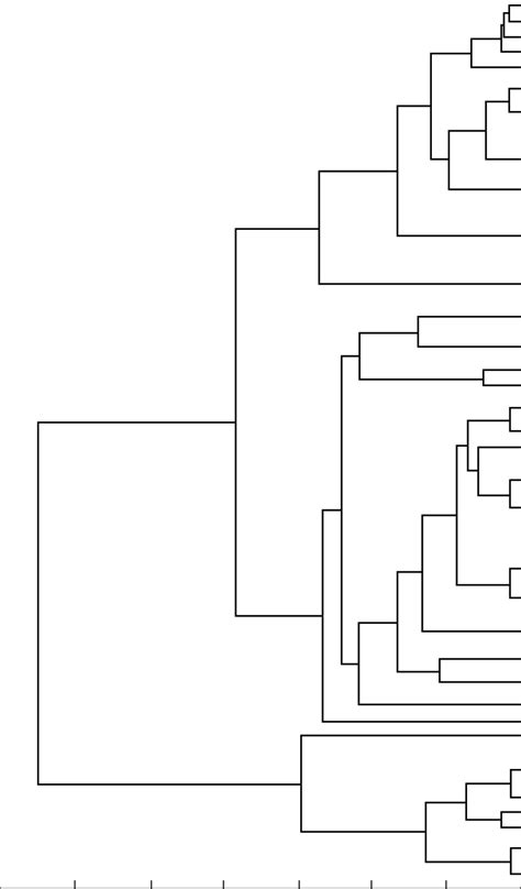 The Genetic Similarity Dendrogram For Pleurotus Ostreatus Constructed