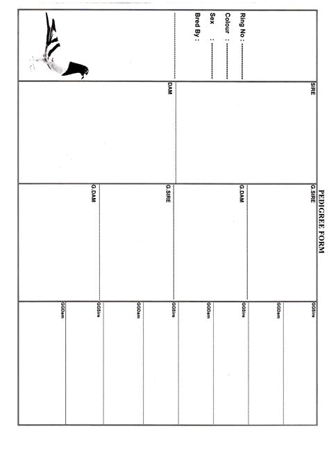 Printable Pigeon Pedigree Forms Blank Printable Forms Free Online