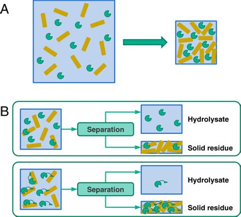 Use Of Cellulases Lacking Carbohydrate Binding Modules In Hydrolysis At