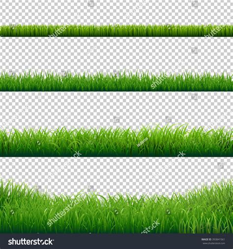 Green Grass Borders Set Vector Illustration Stock Vector Royalty Free 393841561 Shutterstock