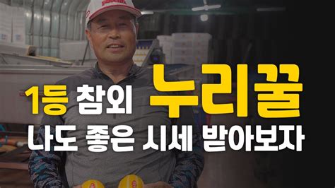 더기반 누리꿀로 좋은 시세 받고👍 제철과일로 소비자에게 사랑받는 참외농민이 전하는 참외재배기술 👏👏👏 Youtube