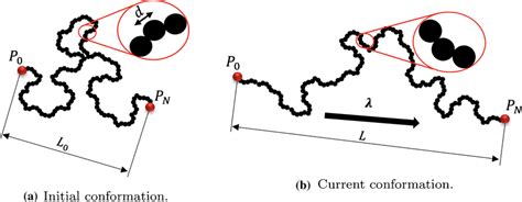 A Initial Conformation B Current Conformation A Single Polymer Chain Download Scientific