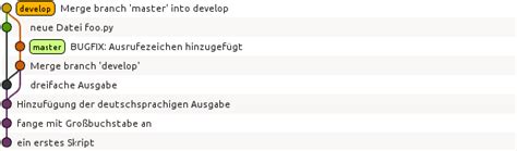 Versionskontrolle Mit Git — Python Für Naturwissenschaftler