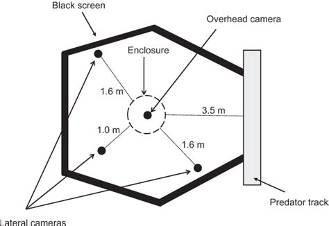 Figure 1 From Predator Detection Is Limited In Microhabitats With High Light Intensity An