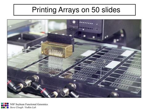 Ppt Cs491jh Data Mining In Bioinformatics Introduction To Microarray