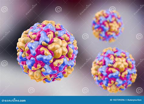 Rhinoviruses Viruses Cause Common Cold And Rhinitis Stock Illustration
