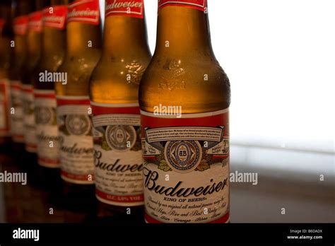 Budweiser Stock