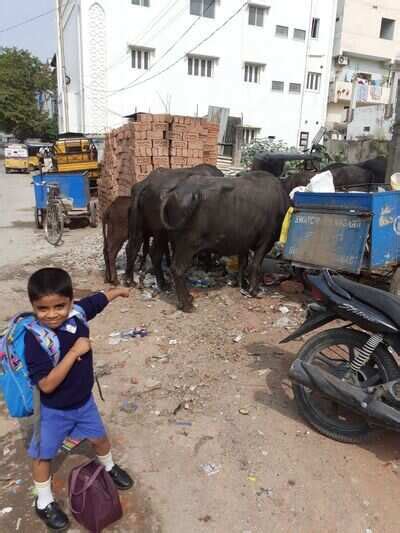 Avoid Polythin Covers Times Of India