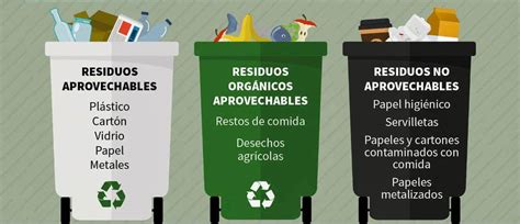 Residuos Solidos Residuos Y Clasificacion De Solidos My Xxx Hot Girl