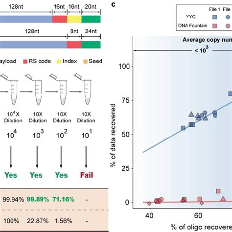 The Experimental Validation Of In Vitro Binary Data Storage Using Yyc Download Scientific