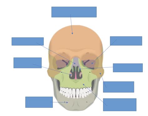 Diagram 2 Diagram Quizlet