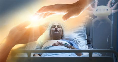 Is Death Reversible Scientist Shows How ‘brain Dead Patients Could