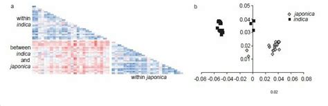 Significant Differences In Gene Expression Levels Between Indica And
