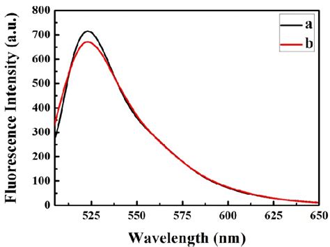 Figure 3 From A Turn On Fluorescent Sensor For Hg2 Detection Based On Graphene Oxide And Dna
