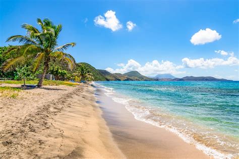 St Lucia Vs St Kitts And Nevis The Honest Comparison [2023] You Need