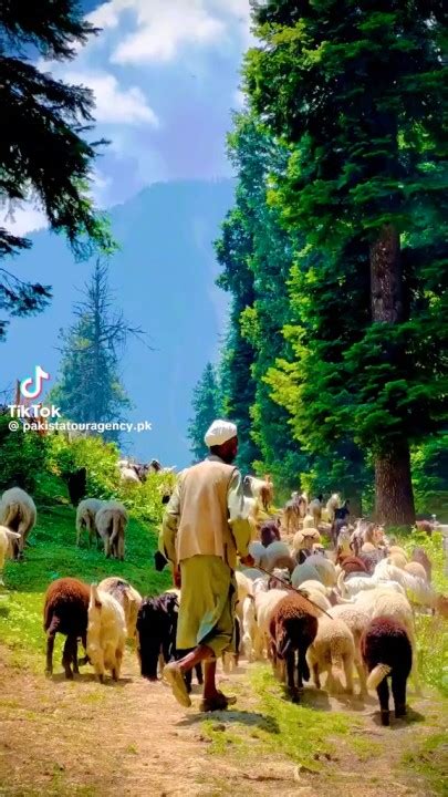 muhammad shahnawaz alam on linkedin too beautiful to visit