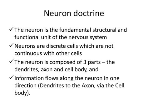 SOLUTION Nerve Cell Structure Studypool