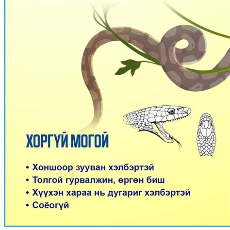 Нийгмийн эрүүл Нийгмийн эрүүл мэндийн үндэсний төв