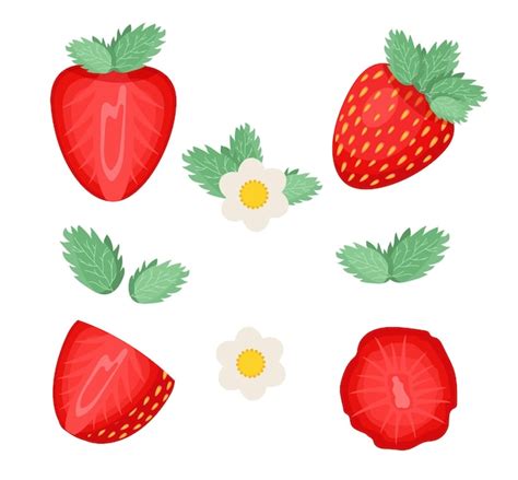 Premium Vector Set Of Strawberries Vector Concept