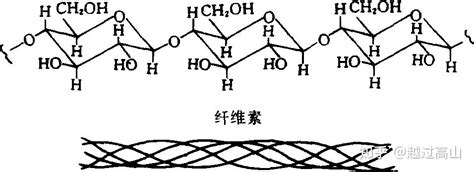 医用材料专刊（十）：纤维素（cellulose） 知乎