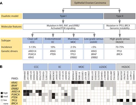 Analysis Of Genetic Aberrations In Epithelial Ovarian Carcinoma A Download Scientific
