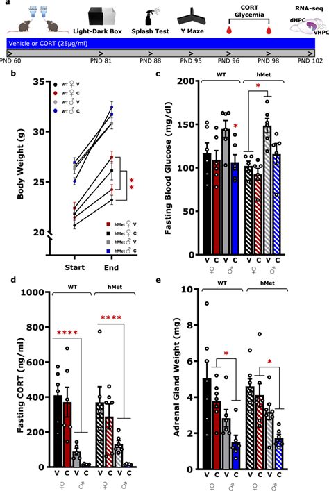 Endocrinological Sex Differences After Chronic Oral CORT A Timeline For Download Scientific