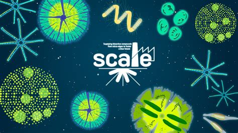 Scale Project On Linkedin Algae Scale Euproject Europe