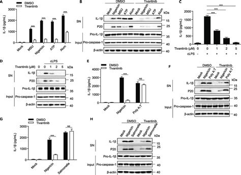 Tivantinib Specifically Inhibits Nlrp3 Inflammasome Activation A Download Scientific Diagram