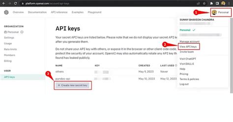 Pandas Ai Revolutionizing Data Analysis With Ai Driven Insights
