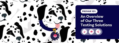 Provar Three Testing Solutions Overview Provar